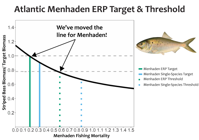 We’ve Moved the Line for Menhaden – Wild Oceans